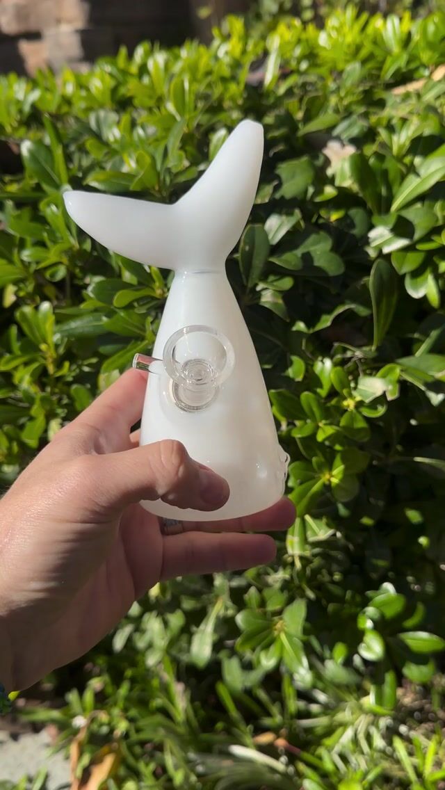 White Mermaid Tail Dab Rig | Shop Dab Rigs on GlassPass